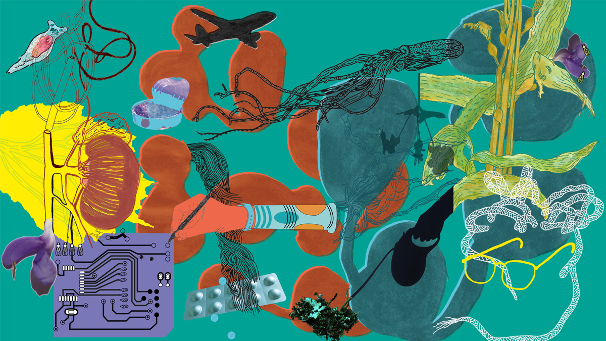 THE POSTHUMANITIES HUB